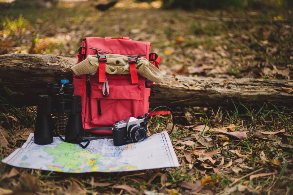 Essential Jungle Safari Checklist - City Flora Tiger Resort